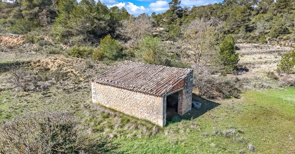 Farmland with small stone barn (non-residential) in Vinaixa | Ref: 4941